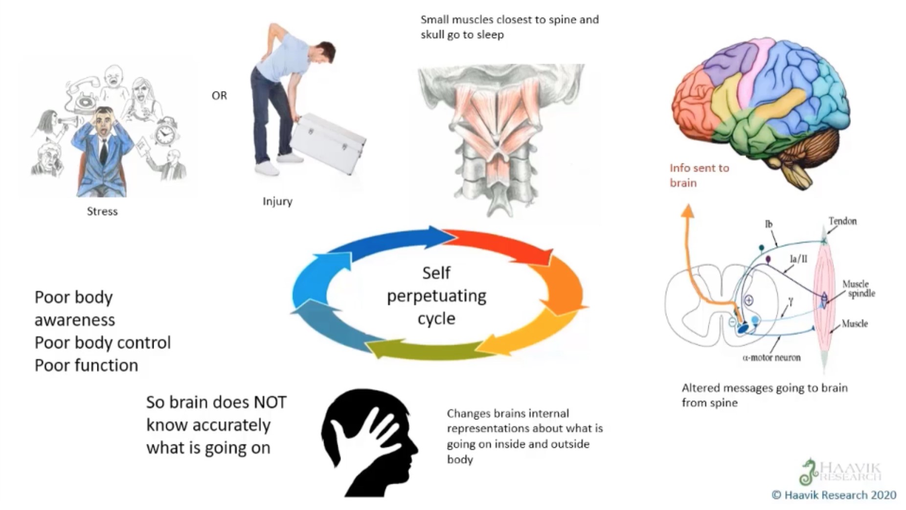 How Chiropractic Uplifts Nervous System Function - The Centre for ...