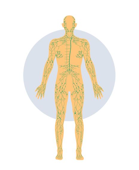 Lymph Drainage Therapy: A Tool for Better Outcomes After Surgery and ...